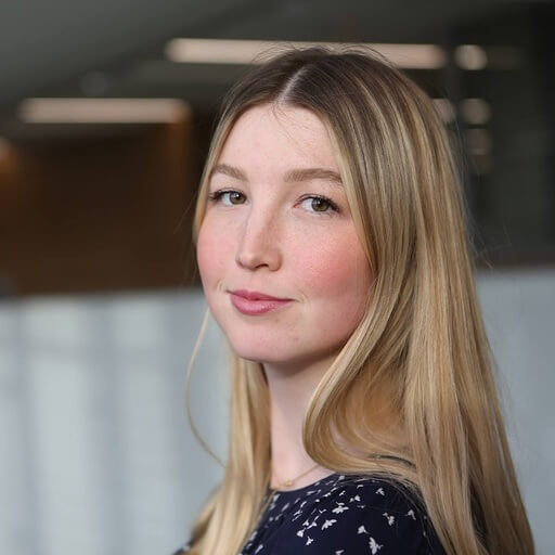 Brand New Box - Developer